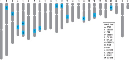 Teaching Genetic Diversity using Forensic Science – The Official Blog ...