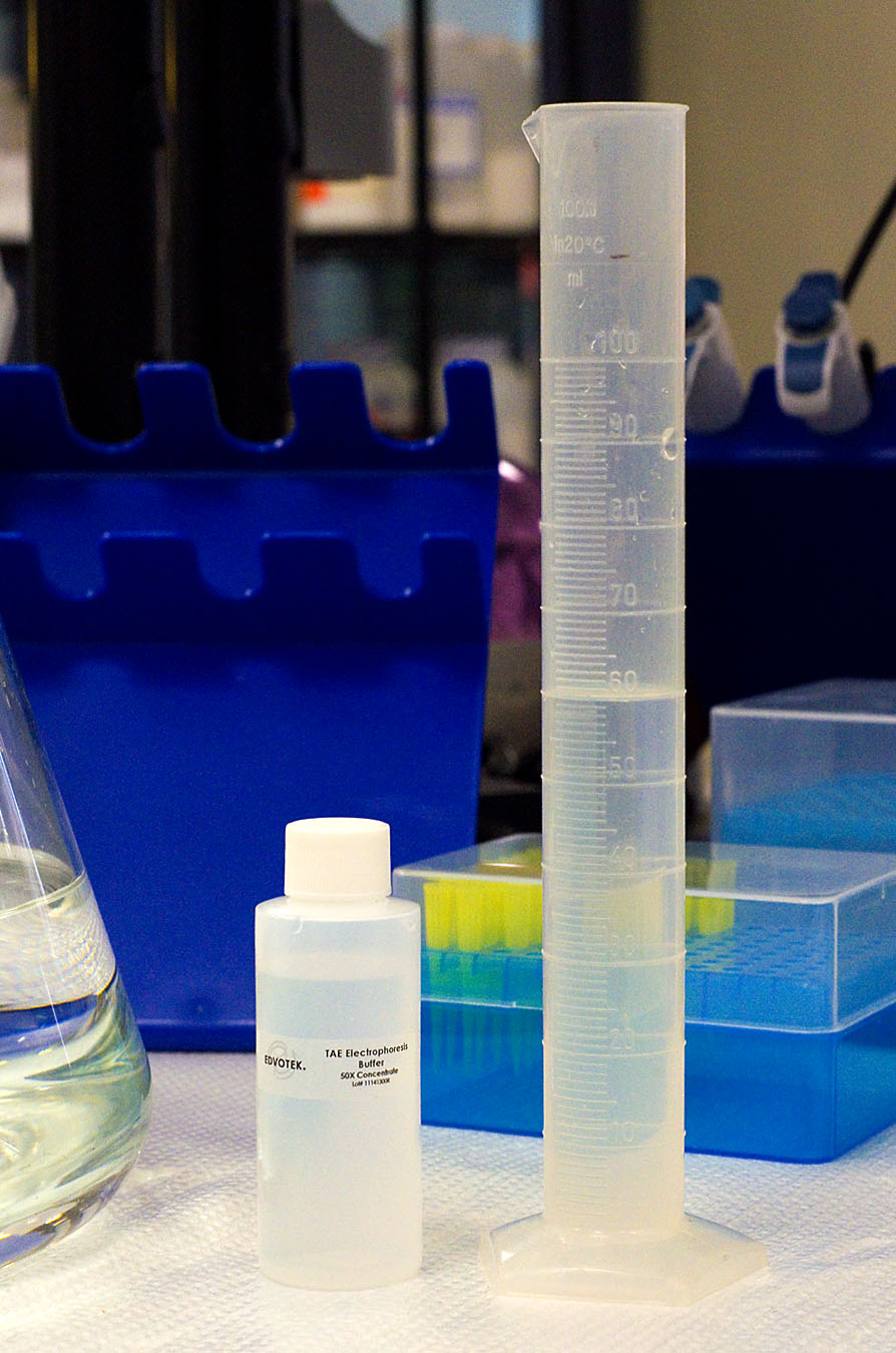 Solving Your Dilution Dilemma – The Official Blog of Edvotek®