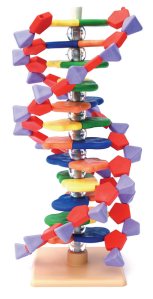 Biotechnology Milestones – The Discovery of DNA – The Official Blog of ...