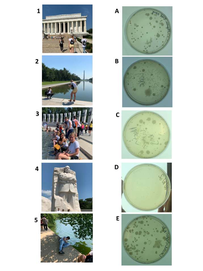 Monumental Microbes – The Official Blog of Edvotek®