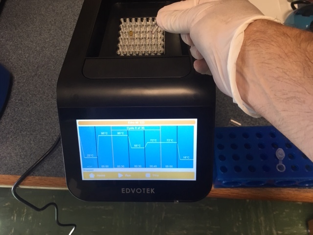 Saving species one PCR at a time – The Official Blog of Edvotek®