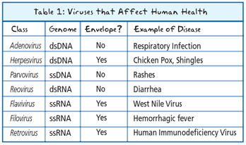 Five Viruses You Should Know – The Official Blog of Edvotek®