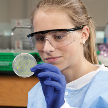 Microbe hunting – The Official Blog of Edvotek®