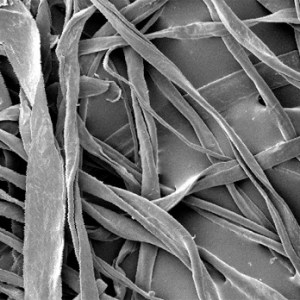 Fiber Evidence from Crime Scene Investigations – The Official Blog of ...