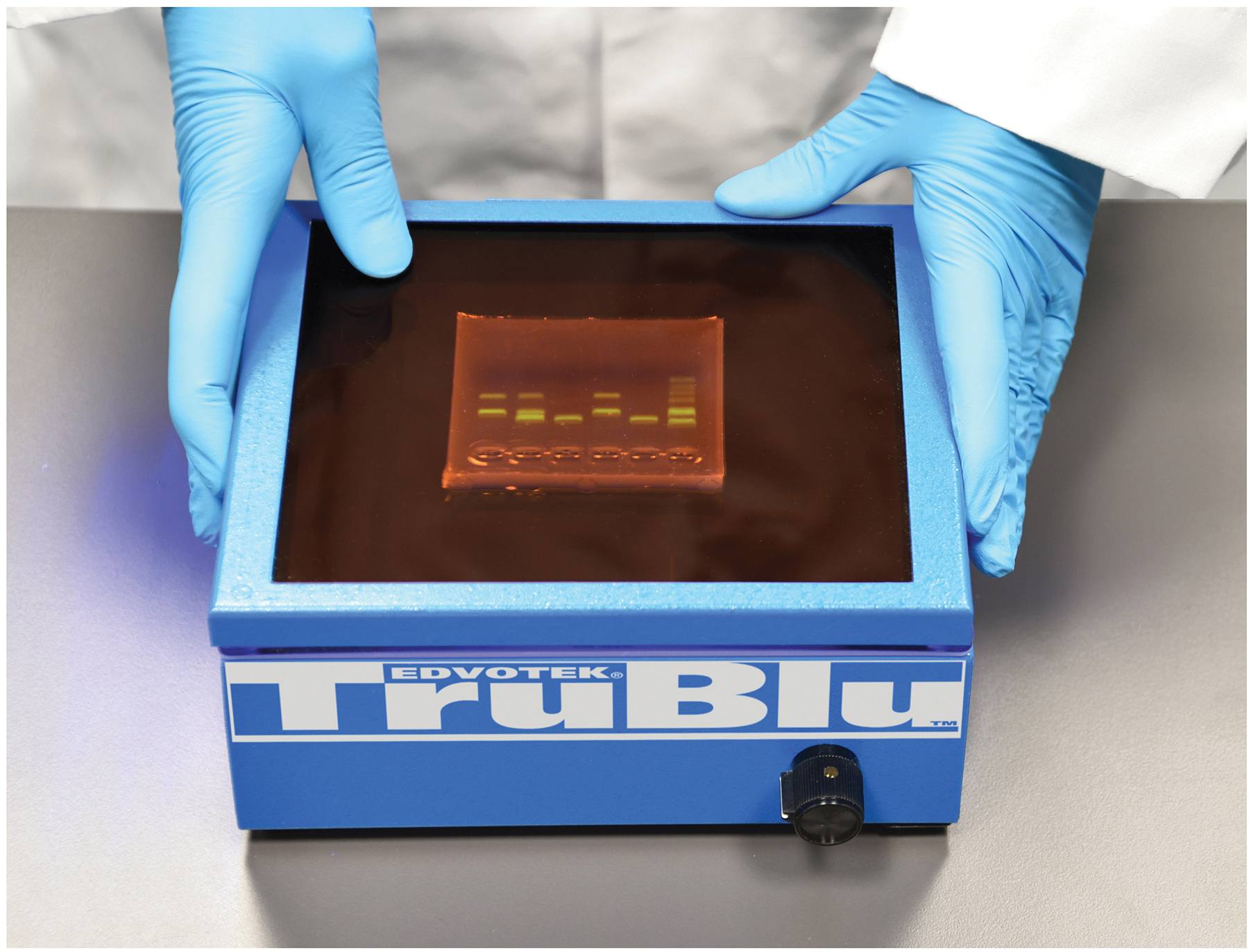 Biotech Basics – Visualizing DNA – The Official Blog of Edvotek®