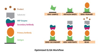 Free Lab Resources: Introducing Edvotek at Home – The Official Blog of ...