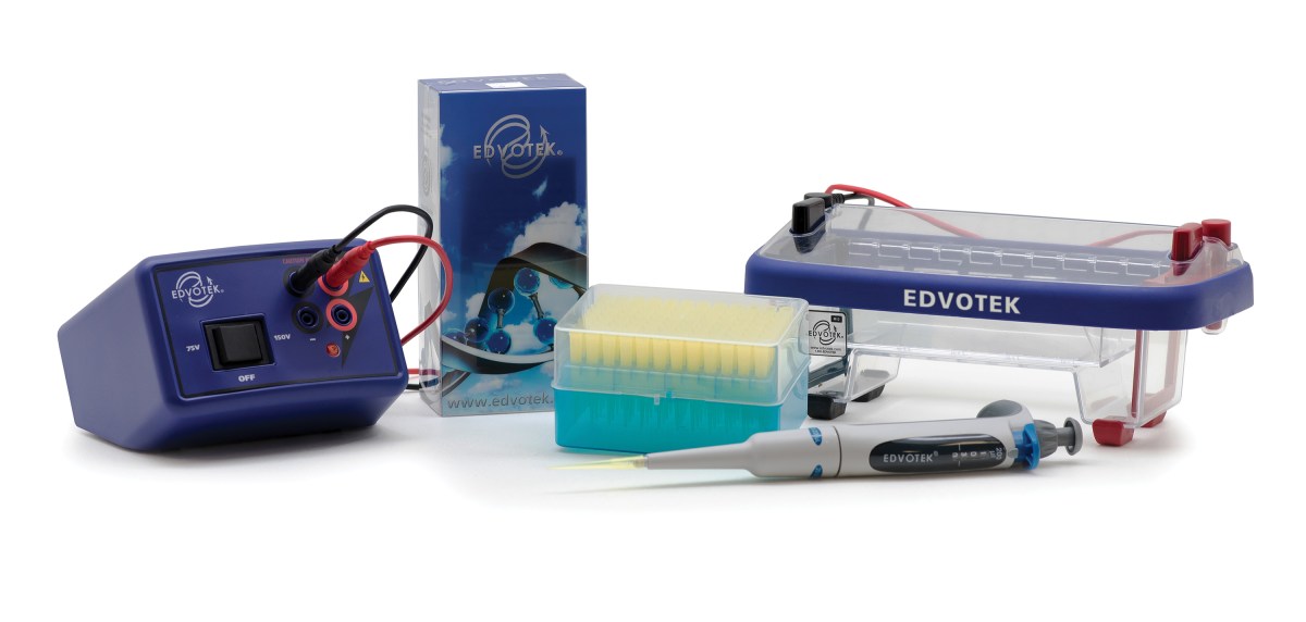 EdvoTech Tip: Using Buffer in Electrophoresis Experiments – The ...