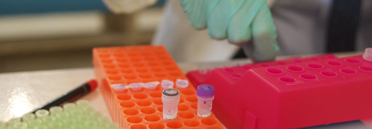 Biotechnology Basics: Making the Polymerase Chain Reaction Easier with ...