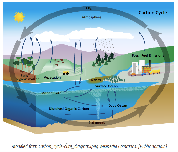 Carbon, Climate, and Classrooms – The Official Blog of Edvotek®