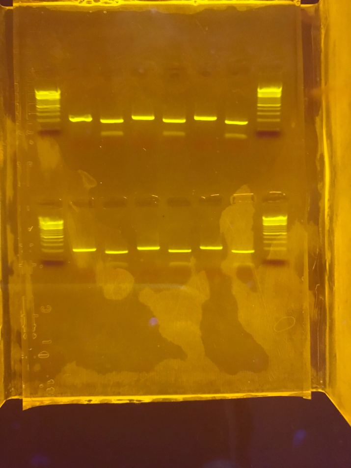 Living on the EDGE: The value of prototyping – The Official Blog of ...