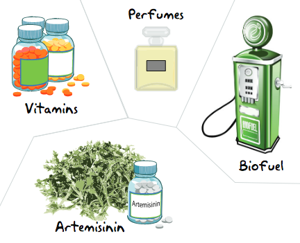Biotechnology Scavenger Hunt – The Official Blog of Edvotek®