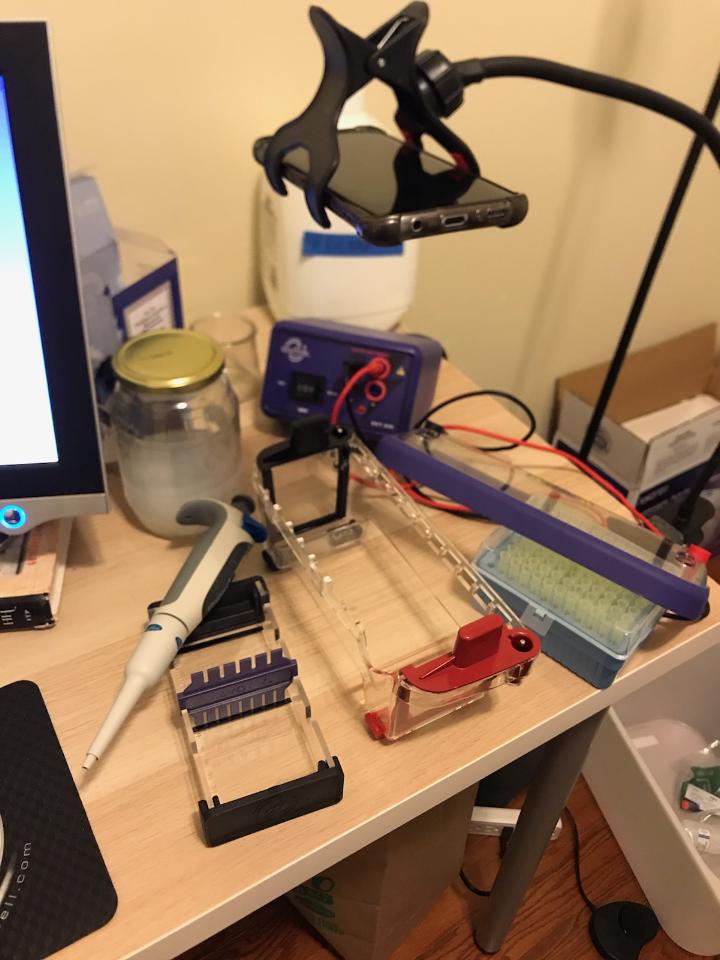 Live from DC, it’s an Edvotek Workshop! – The Official Blog of Edvotek®