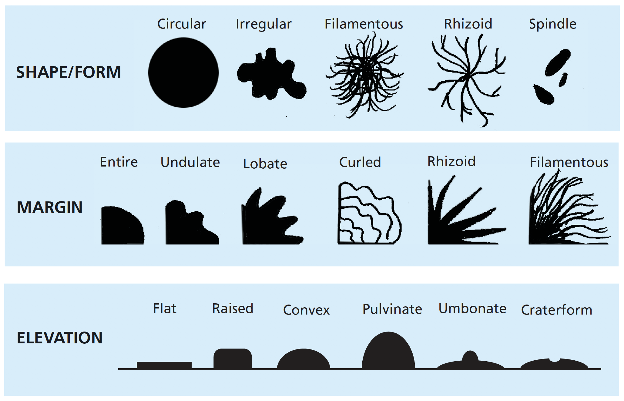 Microbe hunting – The Official Blog of Edvotek®