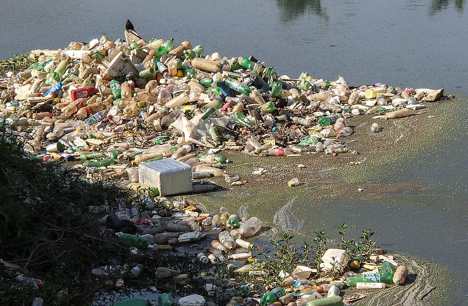 Plastic Precipitation – The Official Blog of Edvotek®