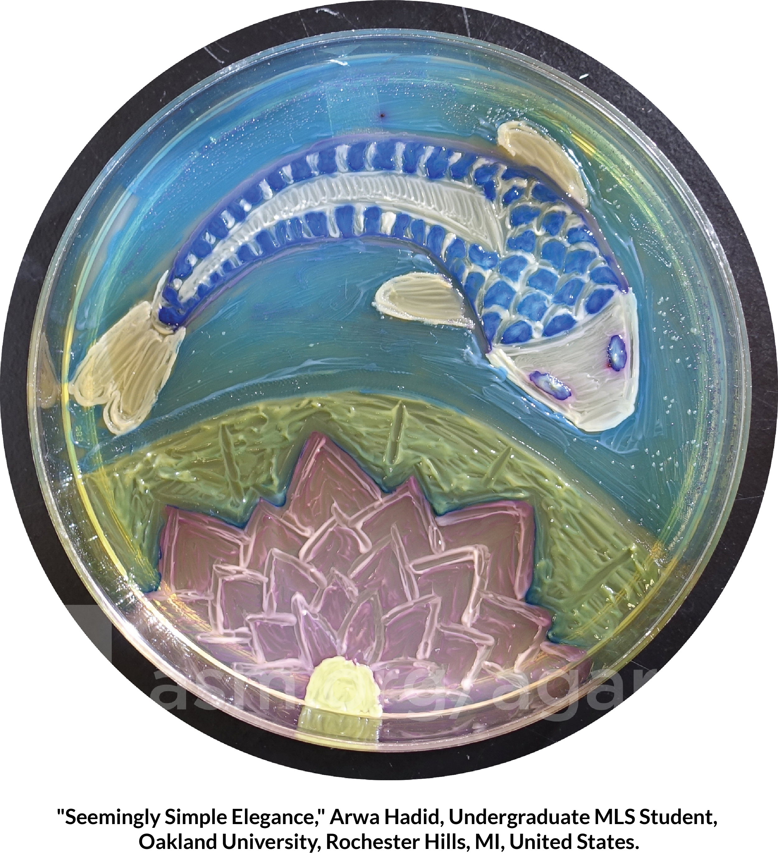 Enter the American Society for Microbiology’s Agar Art Contest! – The ...