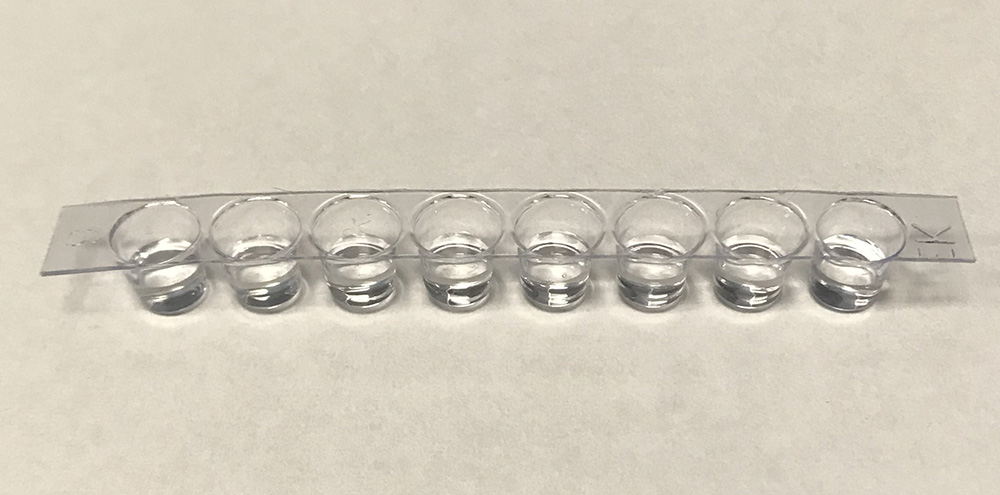 Mastering the ELISA – The Official Blog of Edvotek®