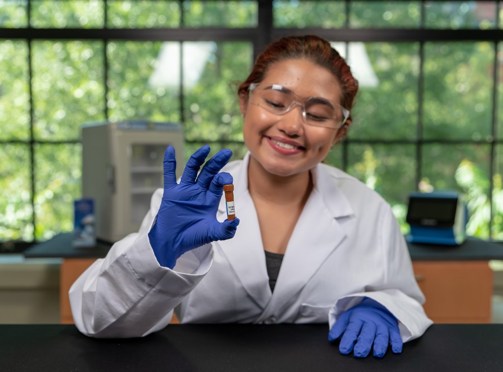 A Quick Guide to Using SYBR Safe DNA Stain in Edvo-Kits – The Official ...