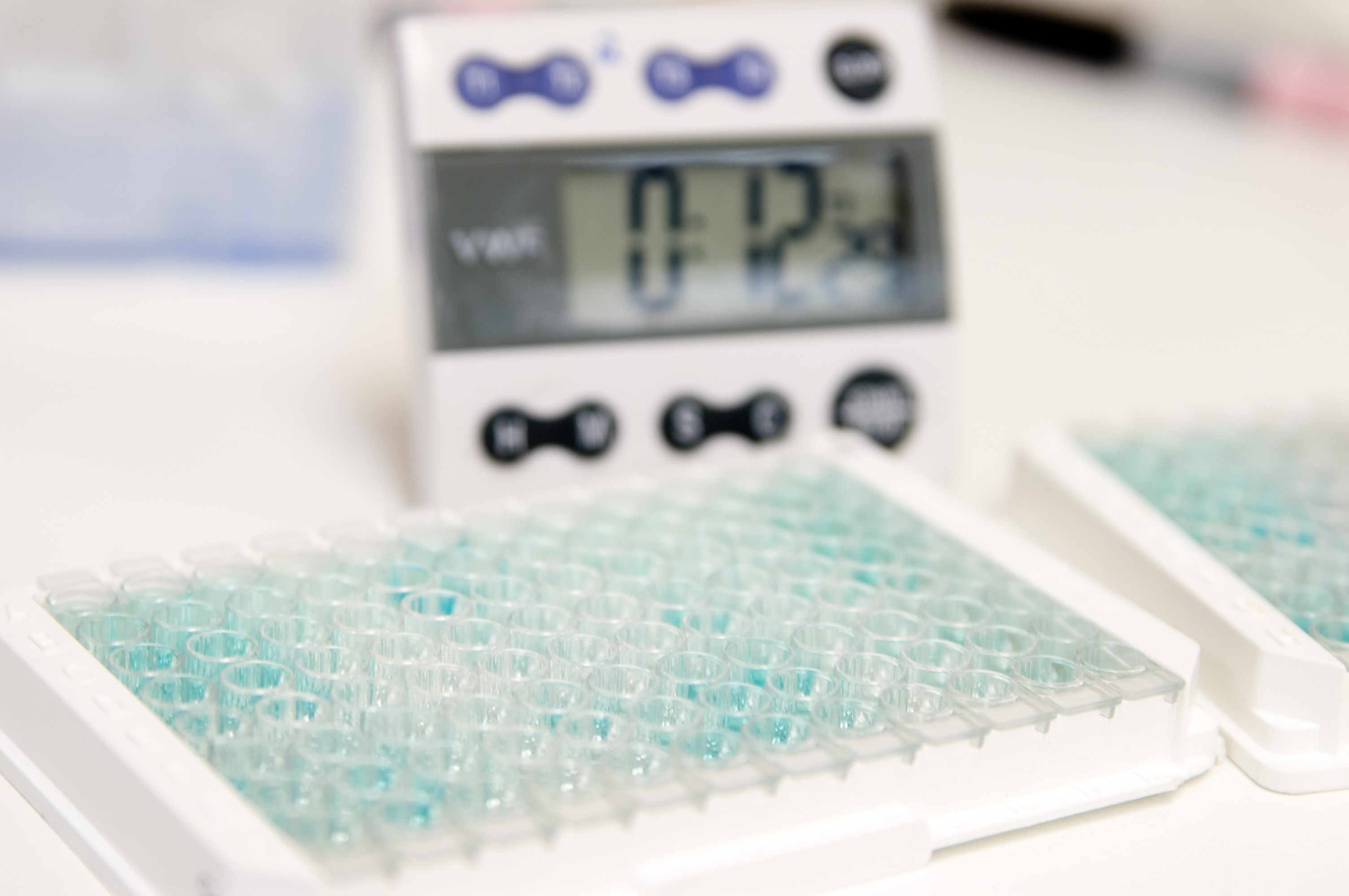 All About the ELISA – The Official Blog of Edvotek®
