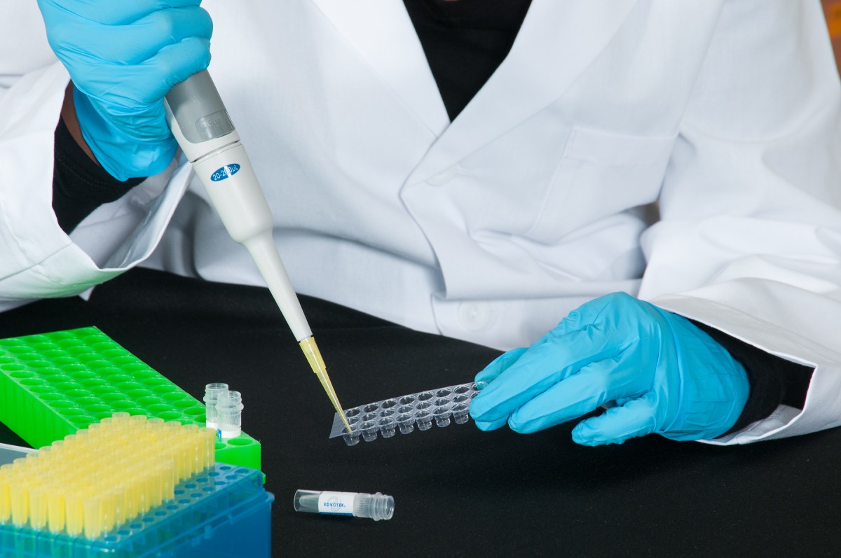 All About the ELISA – The Official Blog of Edvotek®