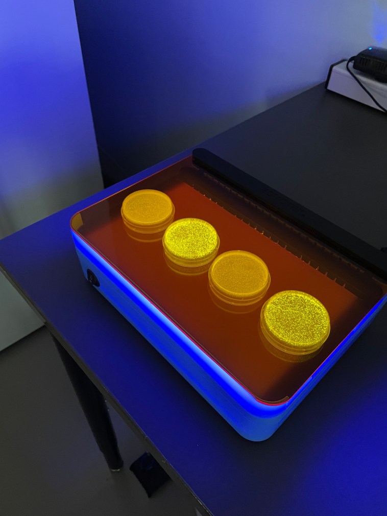 Source Plates: The Foundation to a Successful Transformation – The ...