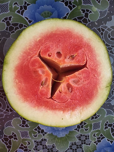 A Brief History of Watermelons – The Official Blog of Edvotek®