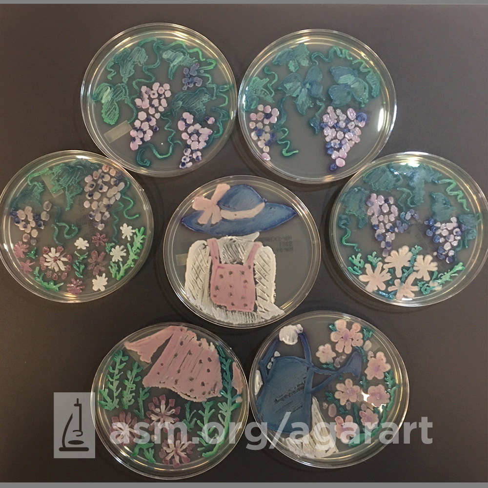You’re Invited to Participate in This Year’s Agar Art Contest! – The ...