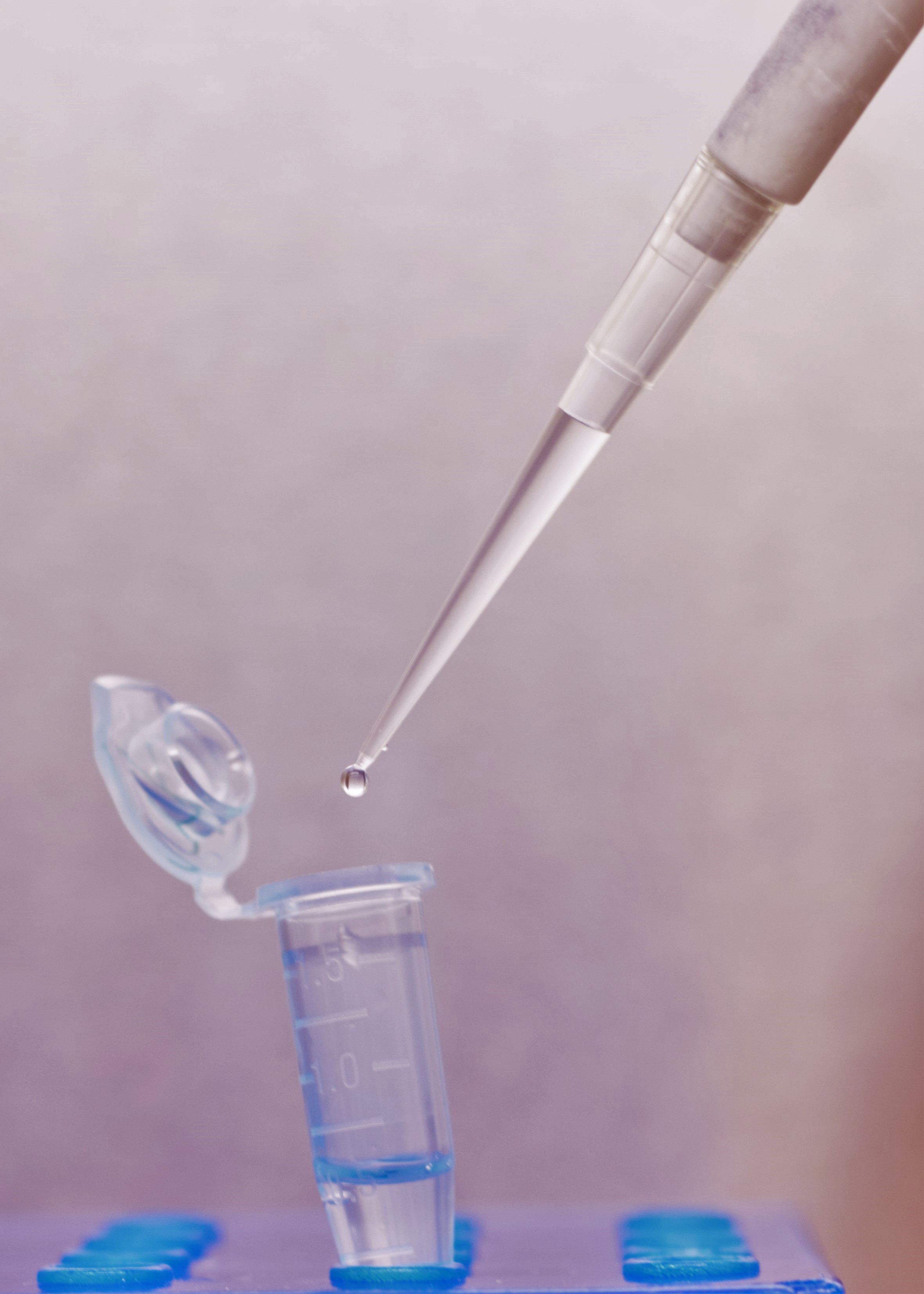 All About Experiment 301: Construction and Cloning of a DNA Recombinant ...