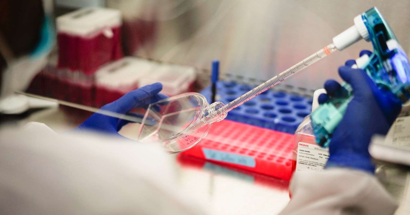 Tips and Tricks for Cell Culture – The Official Blog of Edvotek®