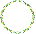 How to Draw a Plasmid Map – The Official Blog of Edvotek®