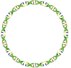 How to Draw a Plasmid Map – The Official Blog of Edvotek®