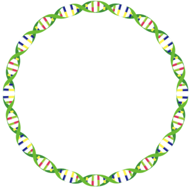 How to Draw a Plasmid Map – The Official Blog of Edvotek®