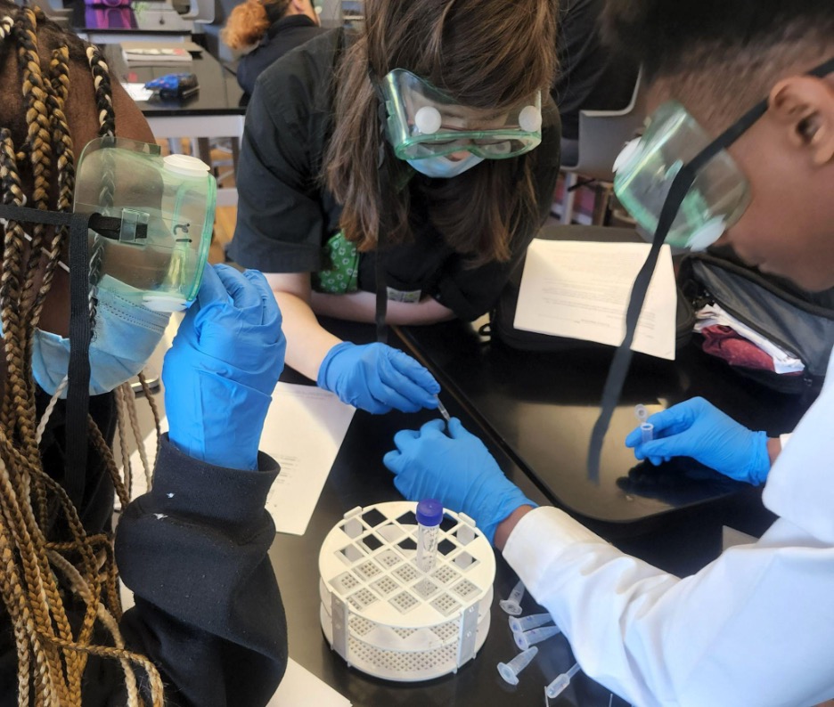 Real World Experiences Can Lead to a STEM Career: EDVOTEK #267 Single ...