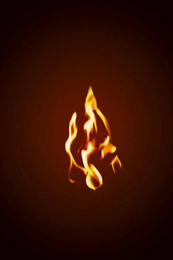 Some Like It (Not Too) Hot: Understanding Heat and Enzyme Denaturation ...
