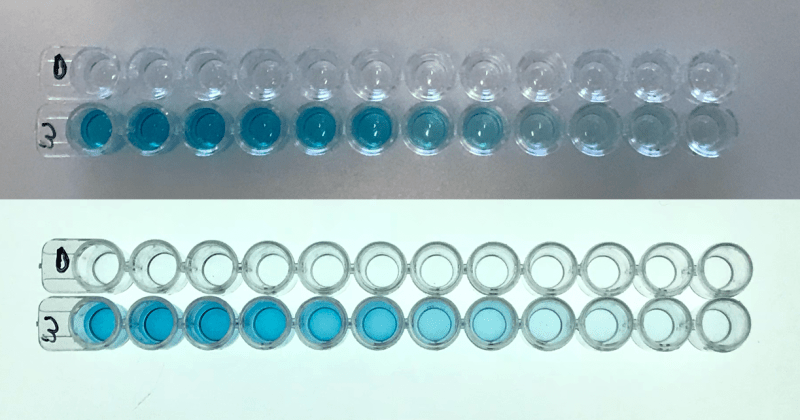 The History of the ELISA – The Official Blog of Edvotek®
