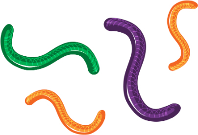 Worm-o-ween Series: Welcome to the World of Worms – The Official Blog ...