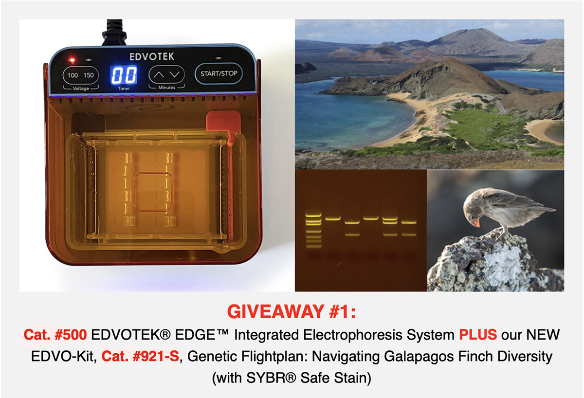 It’s Teacher Appreciation Week! (And We Have Giveaways!) – The Official ...