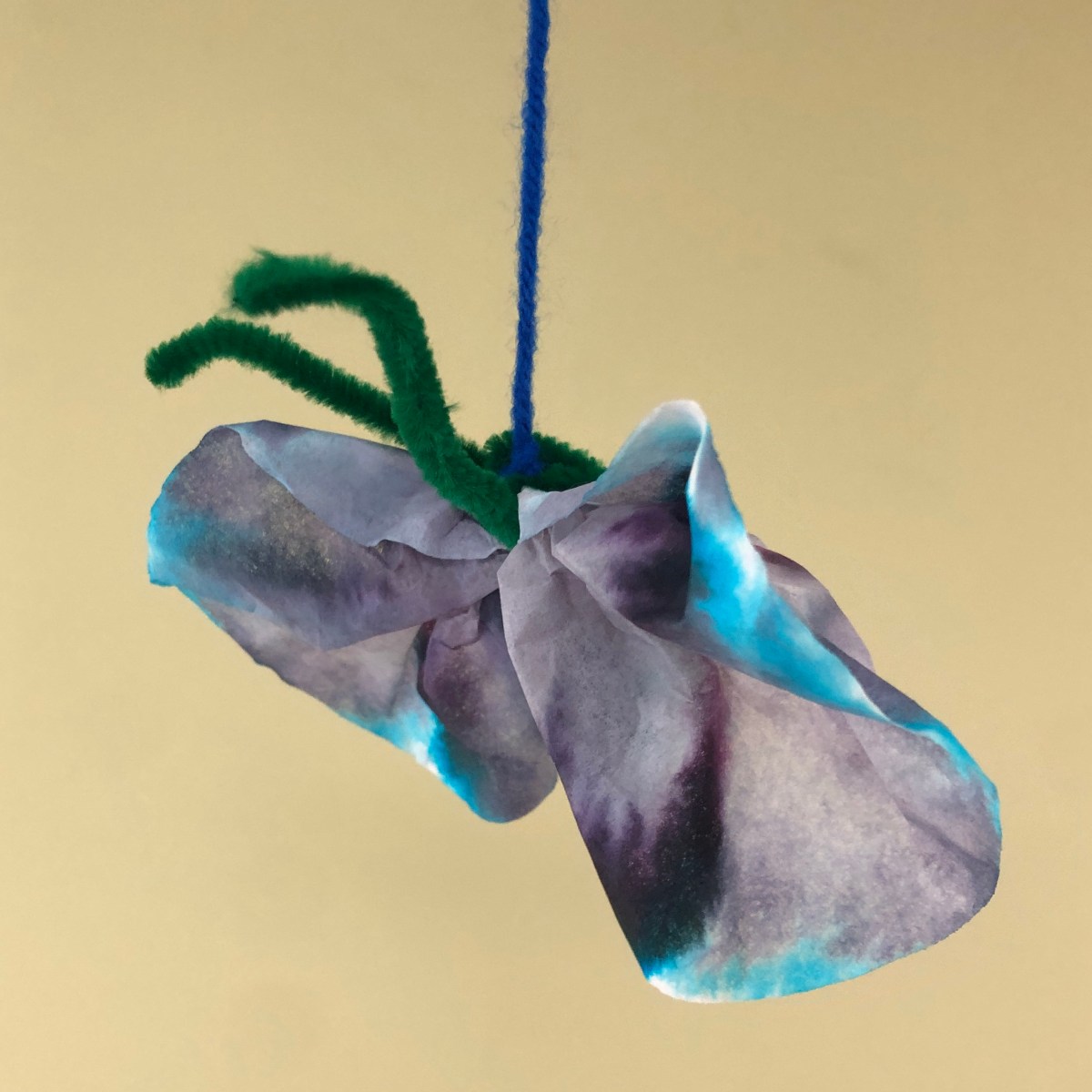 Chromatography Butterflies at Camp Edvotek – The Official Blog of Edvotek®