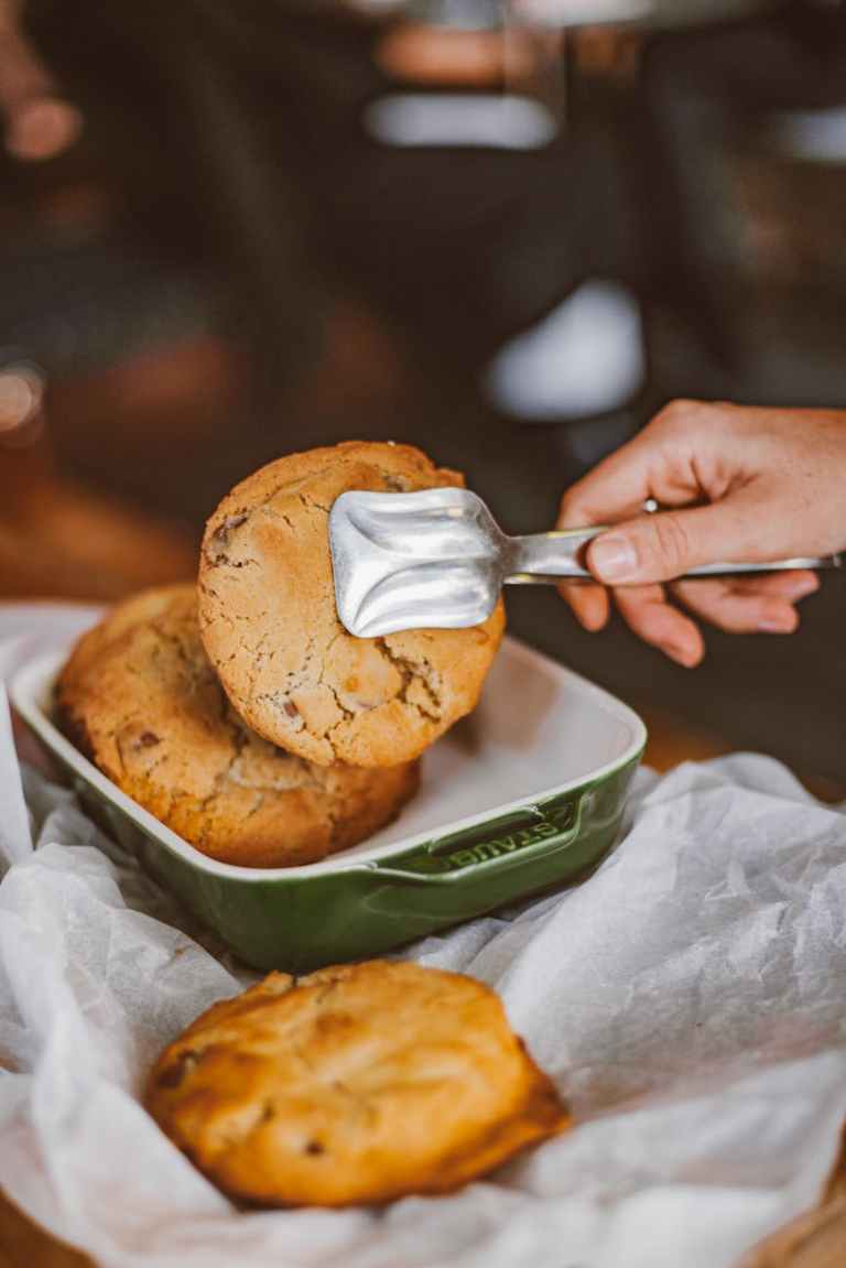 The Cookie Chemistry Guide – The Official Blog of Edvotek®
