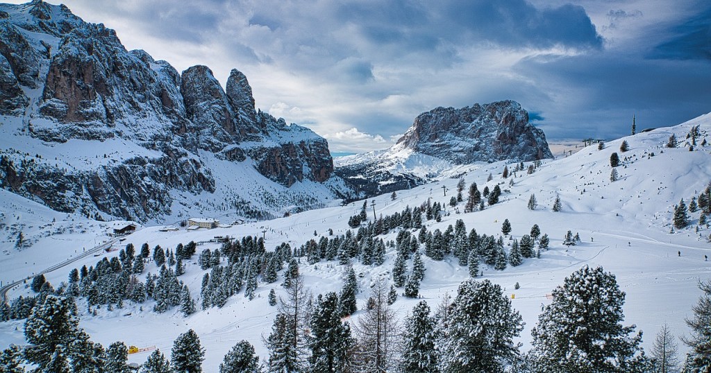 The Secret Microscopic Life of Snow – The Official Blog of Edvotek®